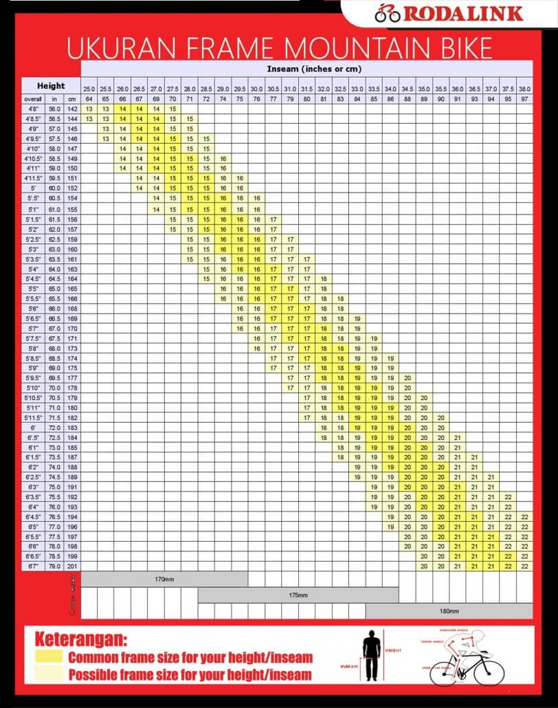 Panduan Memilih Sepeda Secara Lengkap, Tepat, dan Akurat - Avelio Blog