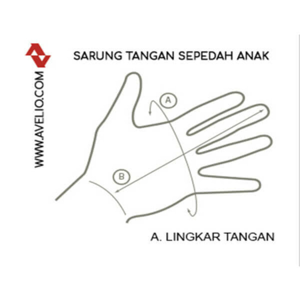 Cara Memilih Ukuran Sepeda Berdasarkan Tinggi Badan - Avelio Blog